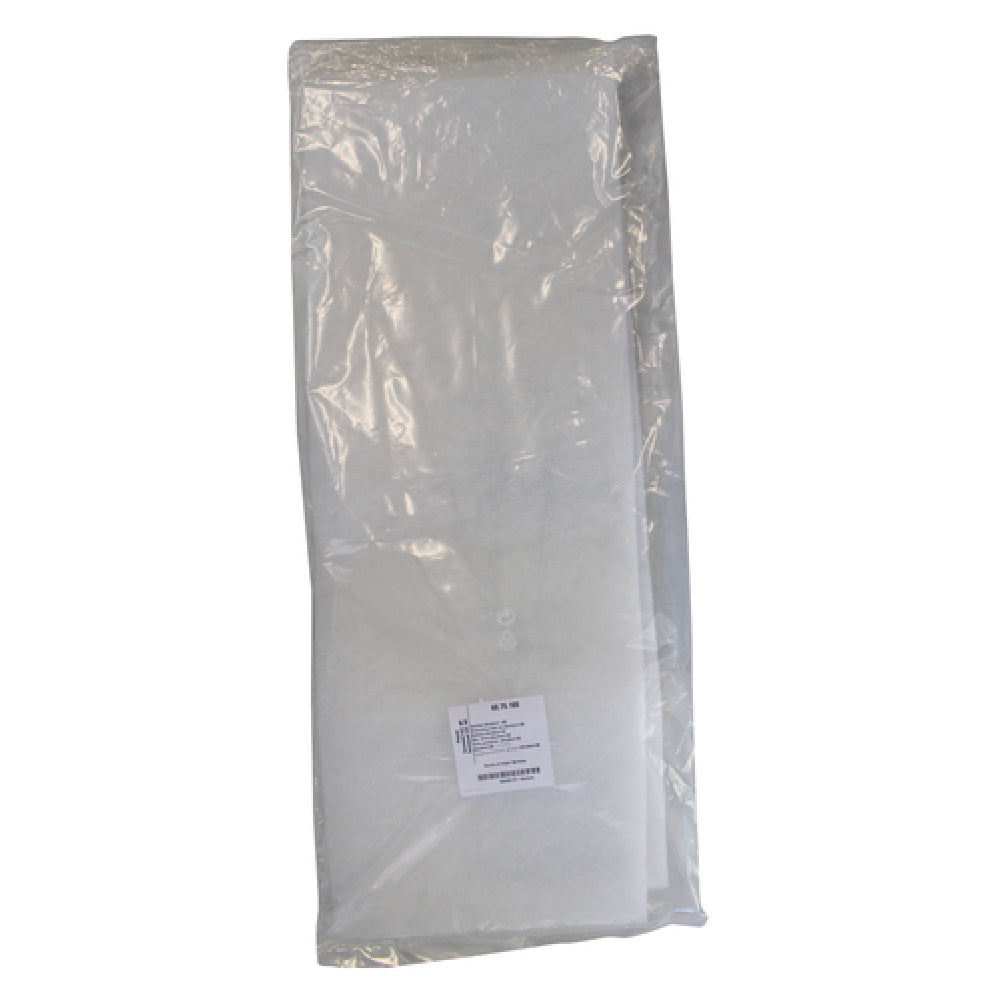 Rational 60.75.100P UltraVent Plus Filter - Buy Now – KitchenRestock.com